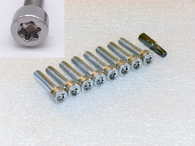 Audi TT Grab Handles 8x Stainless Torx Screws - Stig Fasteners Ltd